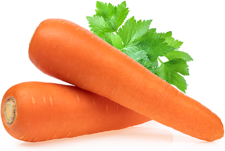 Oven Fresh Bites Ingredients | Caitec