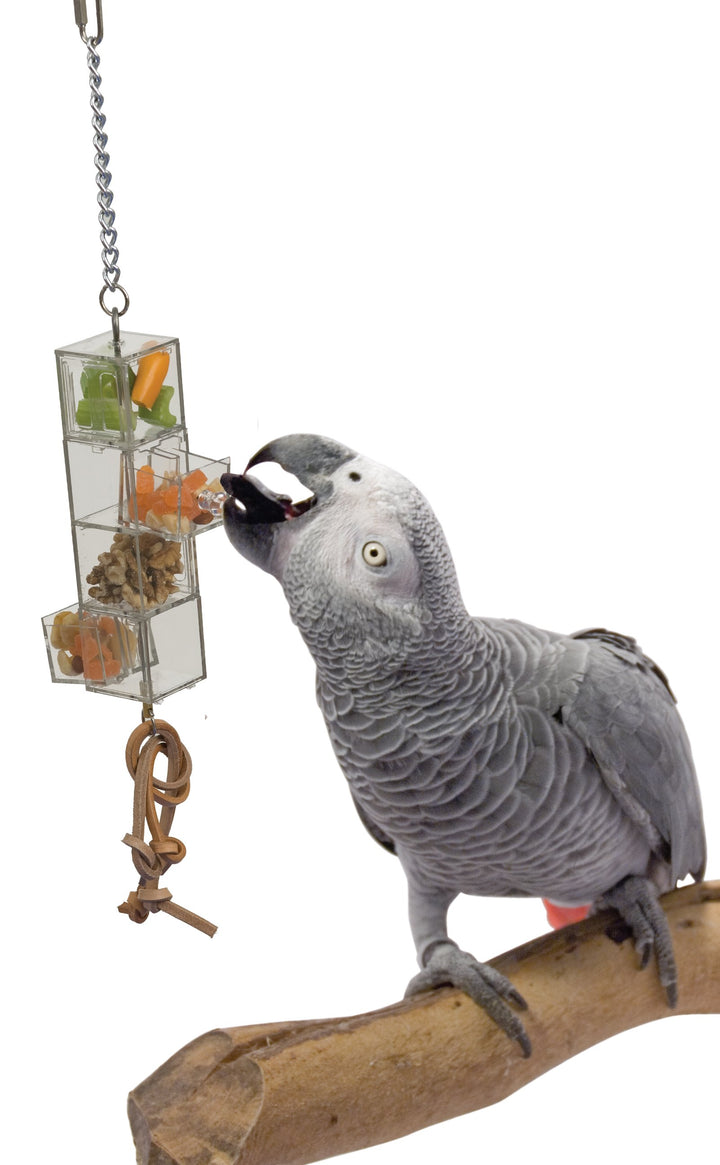 Creative Foraging Systems | Foraging Toys For Birds | Caitec